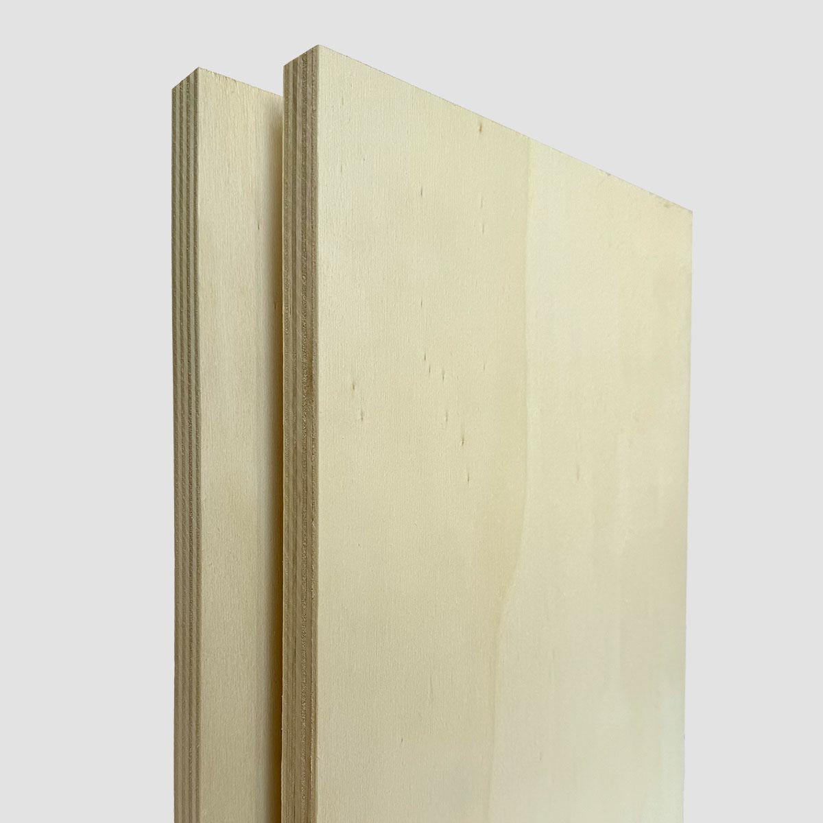 Losan Poplar - Losan